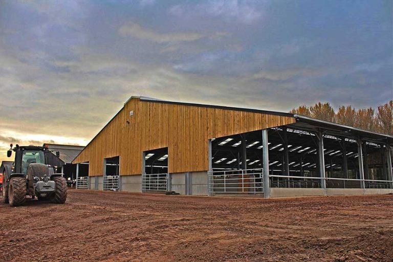 Steel Frame Buildings for Livestock Farming - Fowler & Gilbert