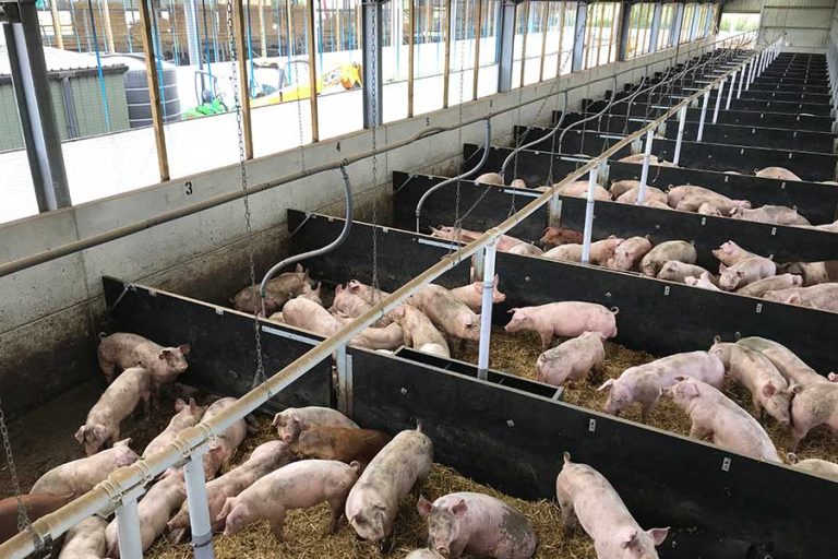 Agricultural Steel Framed Buildings from Fowler & Gilbert